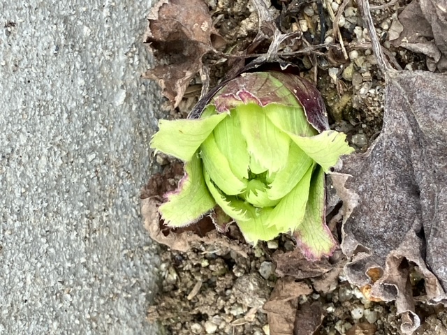番組ブログ「2024.02.27(火) 火曜日のスマイル担当渡邉です」#スマイル - ラジオ福島