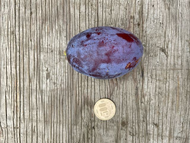 番組ブログ「2024.08.23(金) 金曜スマイル担当 佐藤成美です。」#スマイル - ラジオ福島